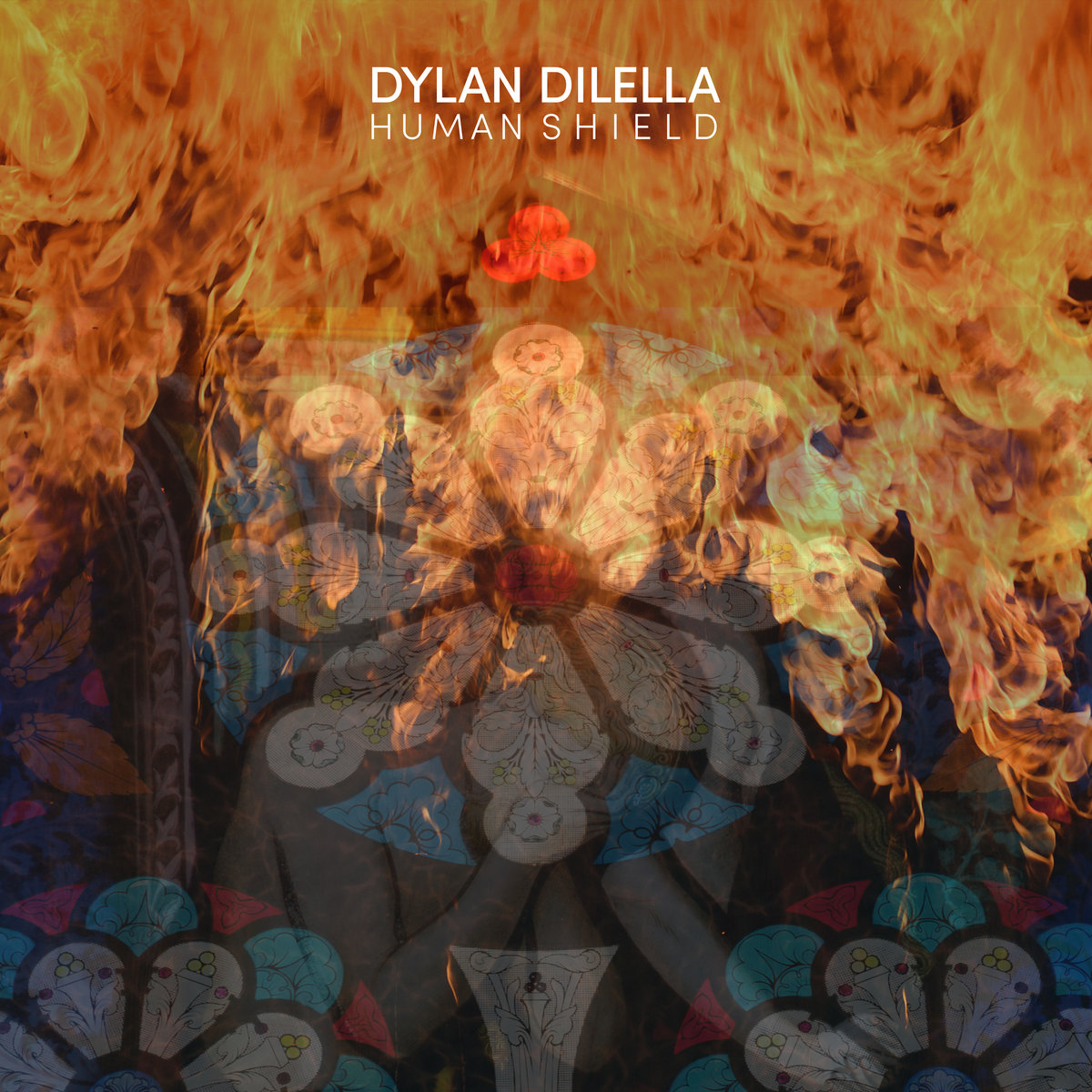 Dylan DiLella – Human Shield