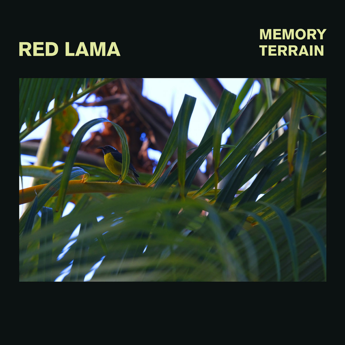 Red Lama - Memory Terrain - BetreutesProggen.de