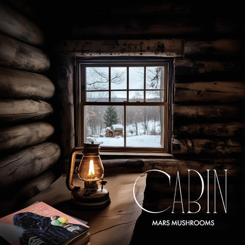 Mars Mushrooms veröffentlichen Single 'Cabin' zum neuem Album im Mai 2025